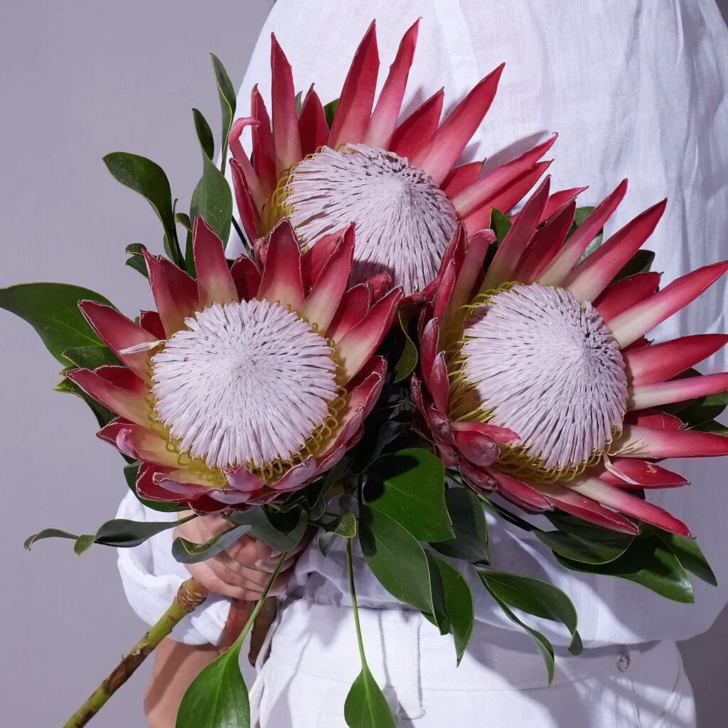 Çiçek teslimatı Neoflower, Moskova, foto