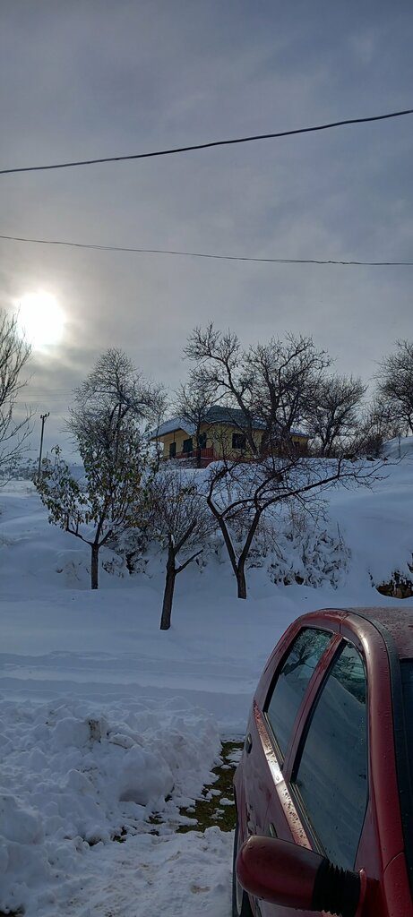 Muhtarlıklar Sarıyusuf Köy Muhtarlığı, Gölova, foto