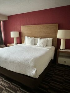 Ramada Plaza Charlotte Airport Hotel and Conference Center (212 West Woodlawn Road), otel  Charlotte'dan