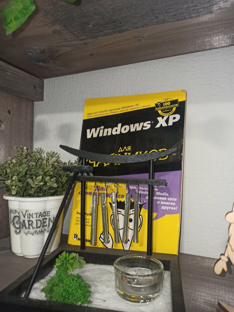 Gezgin kitap Bookcrossing, Vyborg, foto