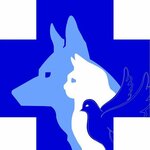 Siny Krest (Stavropol Territory, Nevinnomyssk, bulvar Mira), veteriner klinikleri  Nevinnomissk'ten