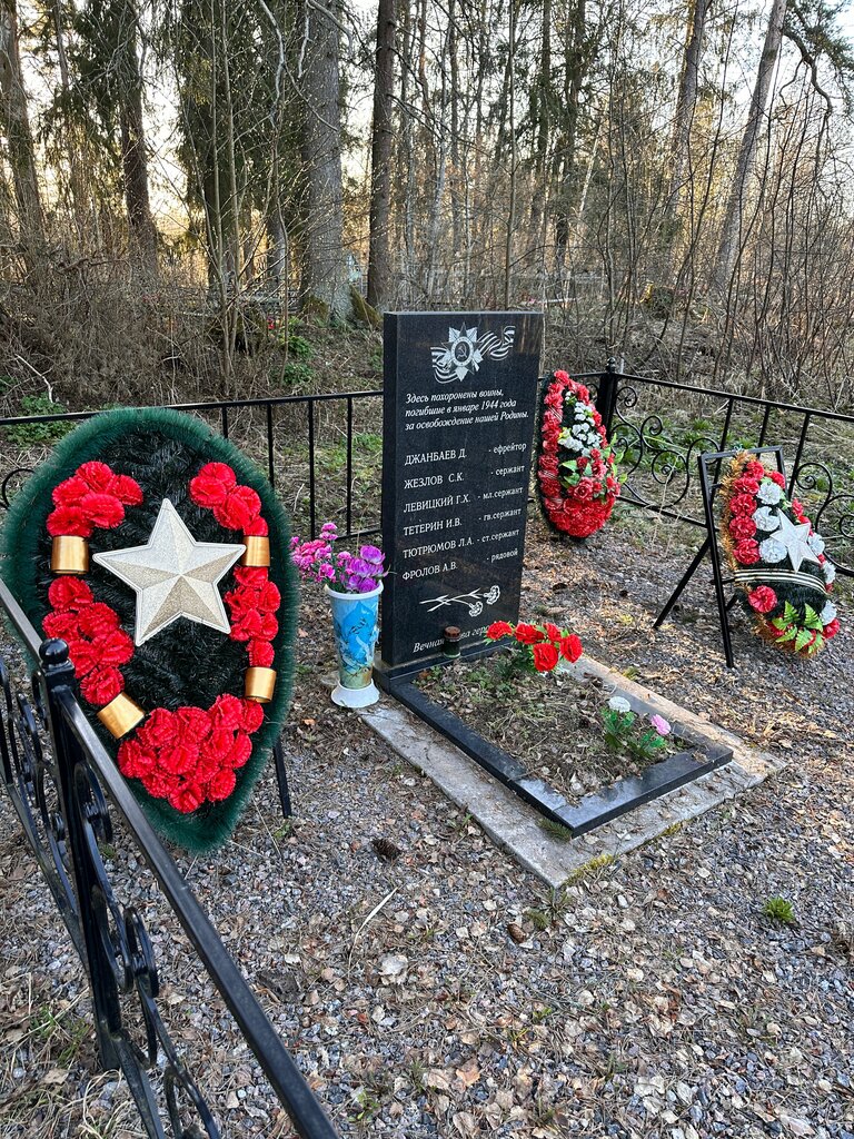 Mezarlıklar Кургинское кладбище, Saint‑Petersburg ve Leningradskaya oblastı, foto