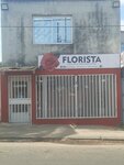 Florista (Luanda, Estrada da Samba), çiçekçiler  Loanda'dan