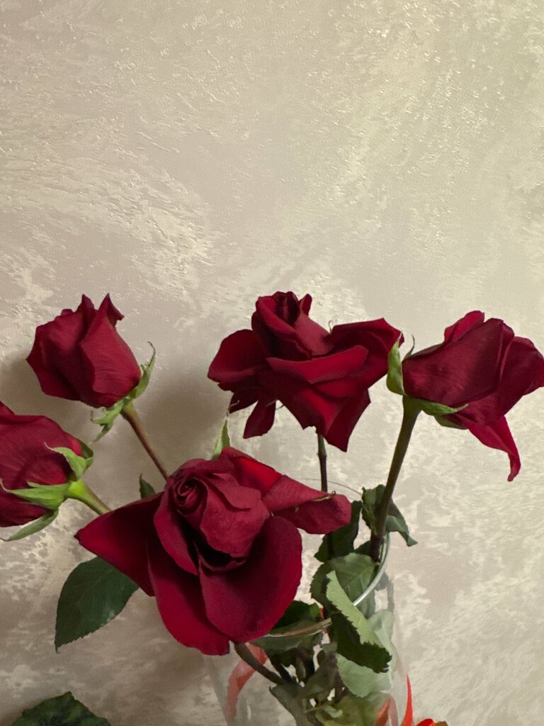 Çiçekçiler Flori, Volgodonsk, foto