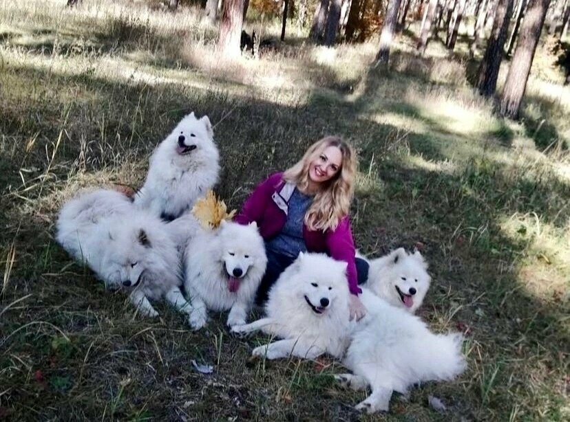 Pet otel Собачкина Дача, Samara, foto