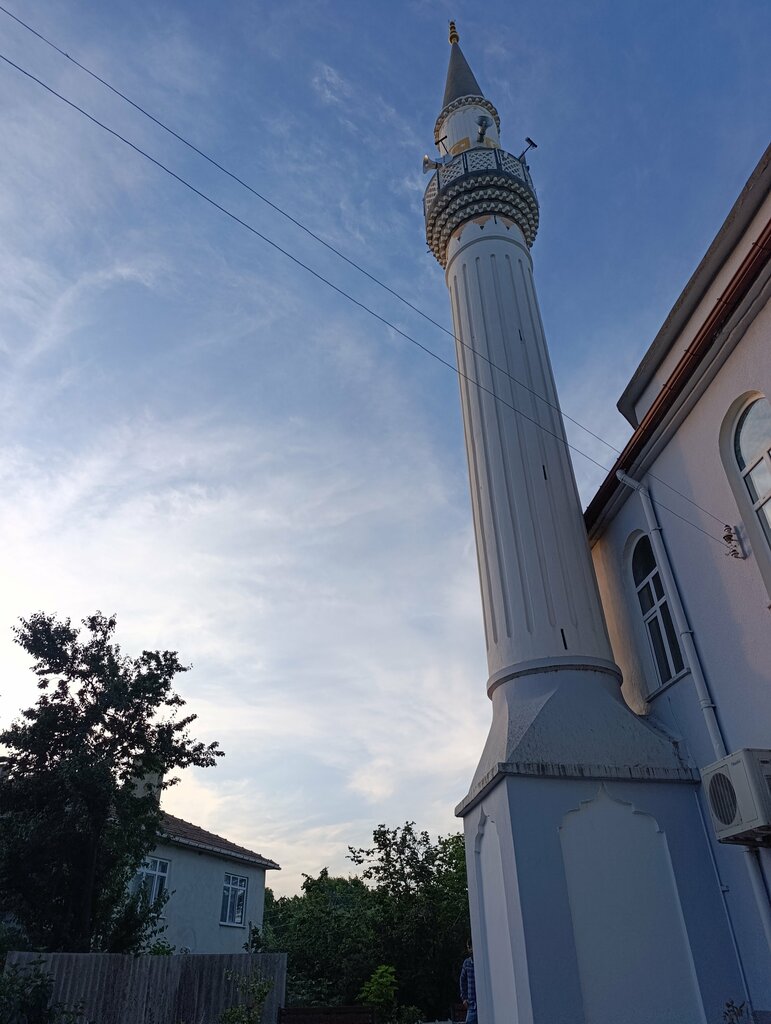 Cami Arpaç Köyü Cami, Havsa, foto
