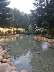 Bellis Deluxe dolphins pool (Antalya, Serik, Kadriye Mah.), yüzme havuzları  Serik'ten