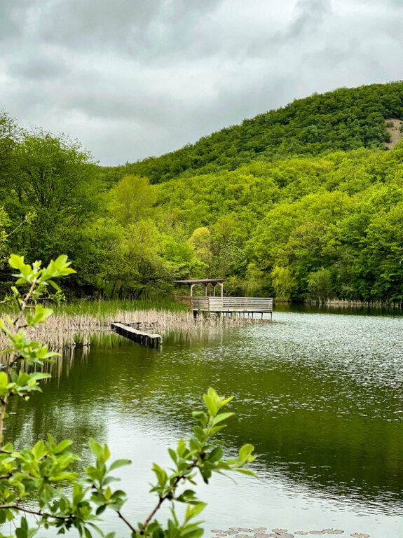 Resort oteller, tesisler Усадьба Солнечноселье, Kırım Cumhuriyeti, foto