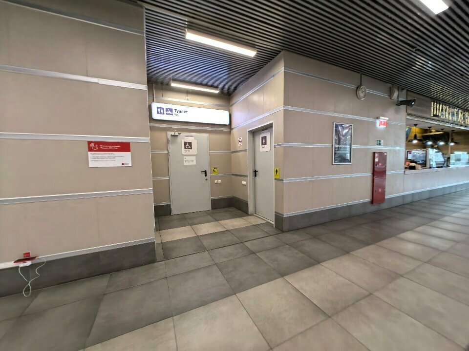 Tuvalet Туалет для инвалидов, Moskova, foto