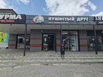 Пушистый друг (ulitsa Kirova No:103А), petshop  Volgograd'dan
