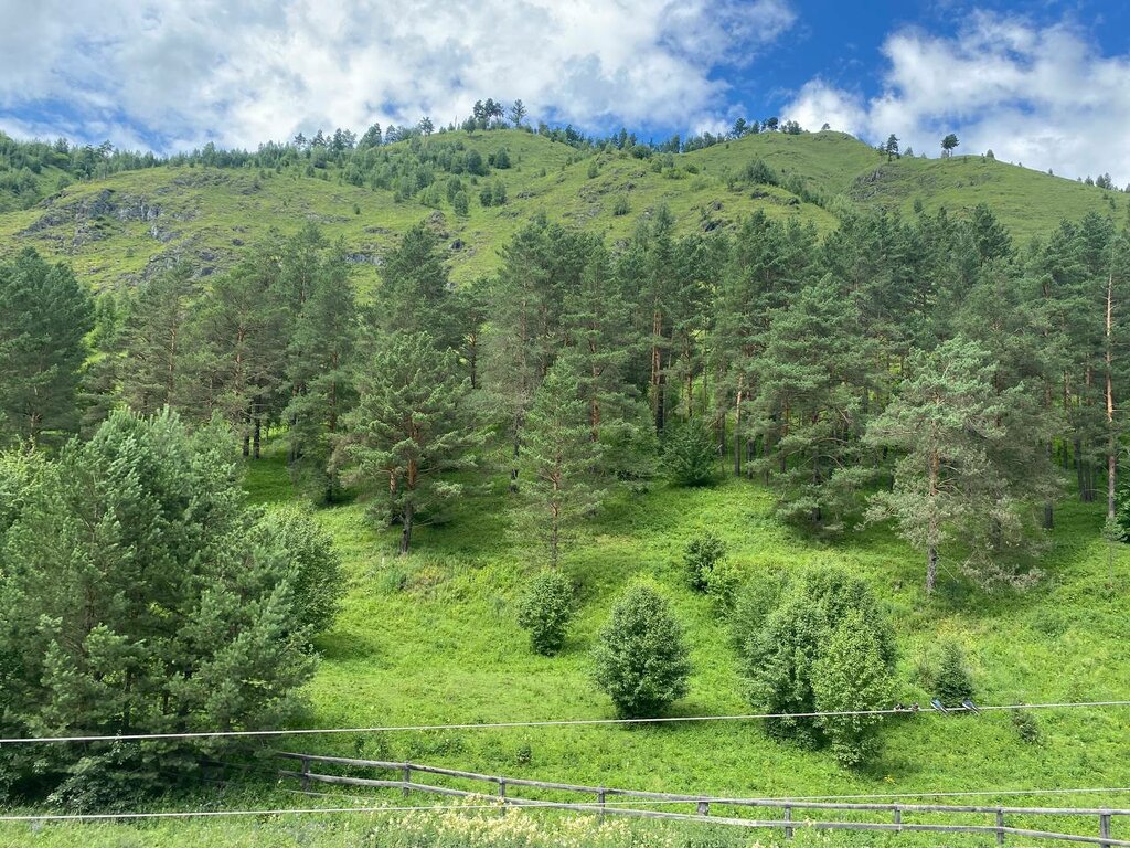 Resort oteller, tesisler Два Тельца, Altay Cumhuriyeti, foto