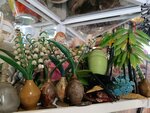 Farmers' market (Chaykovskogo Street No:9/1), gıda pazarı  Kostroma'dan