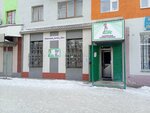 Life (Ǵaryshkerler býlvary No:29), hobi kulüpleri  Jezkazgan'dan