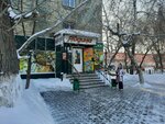 Aydina (Rabochaıa kóshesi No:168), mini-market  Kostanay'dan