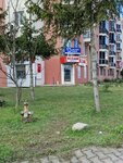 Boğazköy Eczanesi (Bahçeşehir 2. Kısım Mah., 1. Cad., No:1/A, Başakşehir, İstanbul), eczaneler  İstanbul'dan