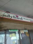 Ladybird beauty salon (No:664, Allama Iqbal Town, Block Kashmir), kuaförler  Lahor'dan