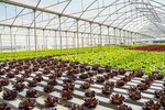 Agri04 Tarım Sanayi Ticaret (İstanbul, Beykoz, Cumhuriyet Mah.), tarım firmaları  İstanbul'dan