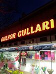 Gulyor Gullari (Xonqa Street No:54), çiçekçiler  Ürgenç'ten