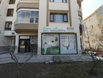 Kid's Academy (Gaziosmanpaşa Mah., 2209. Sok., No:5A, Gölbaşı, Ankara), spor kulüpleri  Ankara'dan