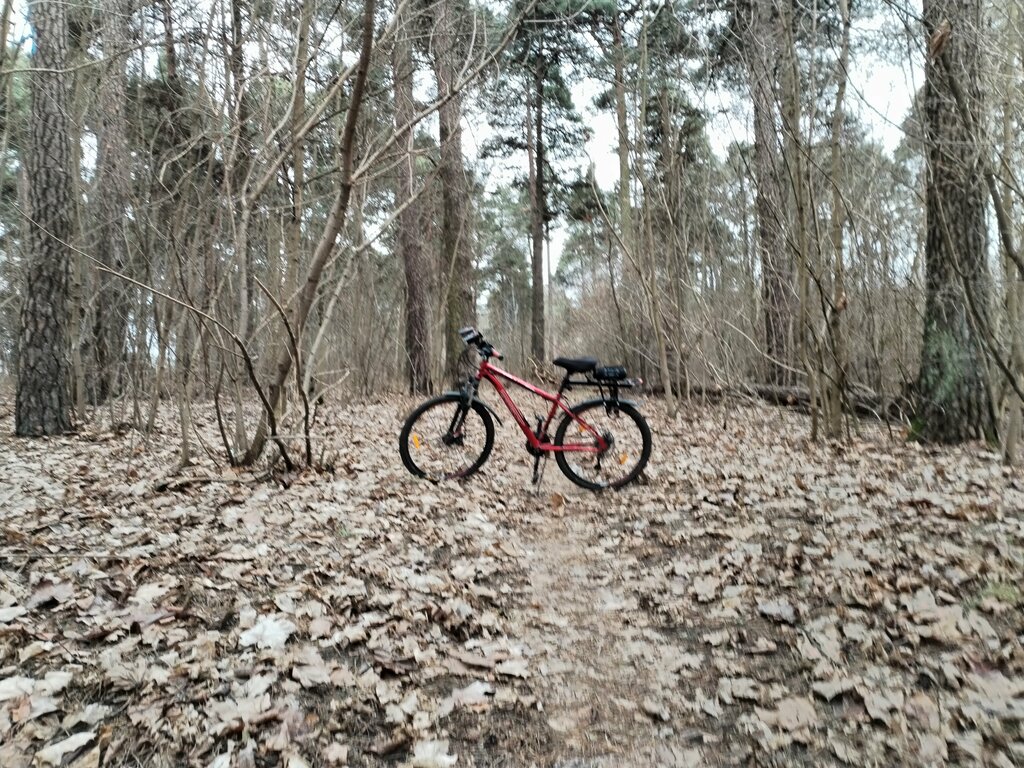Kültür ve eğlence parkları парк Победы, Ivacevichi, foto