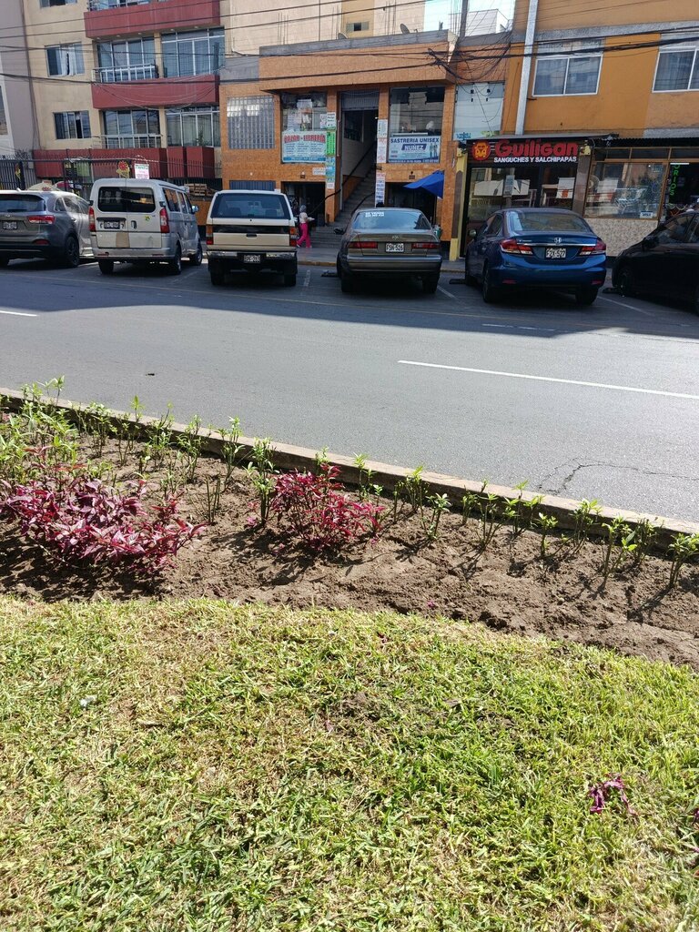 Ayakkabı tamiri David Shoe Renovator, Lima, foto