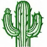 Cactus (Kuybysheva Street No:50А), nakış hizmetleri  Perm'den