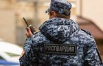 Отдел вневедомственной охраны по городскому округу Лесной - филиал ФГКУ управление Вневедомственной Охраны Войск Национальной Гвардии Российской Федерации по Свердловской области (Mamina-Sibiryaka Street No:16), polis merkezleri  Lesnoy'dan