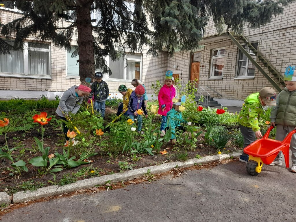 Anaokulları Детский сад № 17 Солнышко, Kotovsk, foto