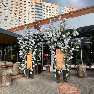 Drova (40 Let Pobedy Street No:49В, Tolyatti), kafe  Tolyatti'den (Togliatti'den)