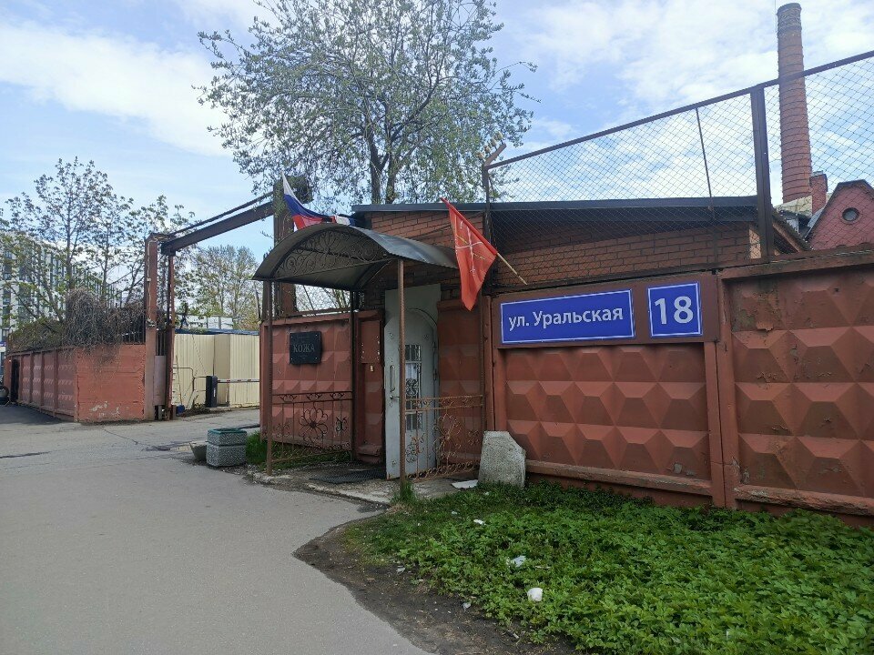 Hayvan postu doldurma Taksidermicheskaya studiya Bekas, Saint‑Petersburg, foto