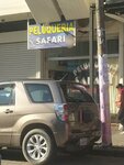 Safari - Peluqueria (Santa Cruz de la Sierra, Distrito Municipal 11, Subdistrito CII, Suárez Arana, 36), kuaförler  Bolivya'dan