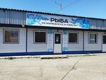 Рыба из Мурманска и Карелии (Lenina Street No:144к2), balık ve deniz ürünleri  Izhevsk'ten