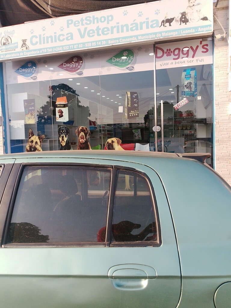 Veteriner klinikleri Petshop, Loanda, foto