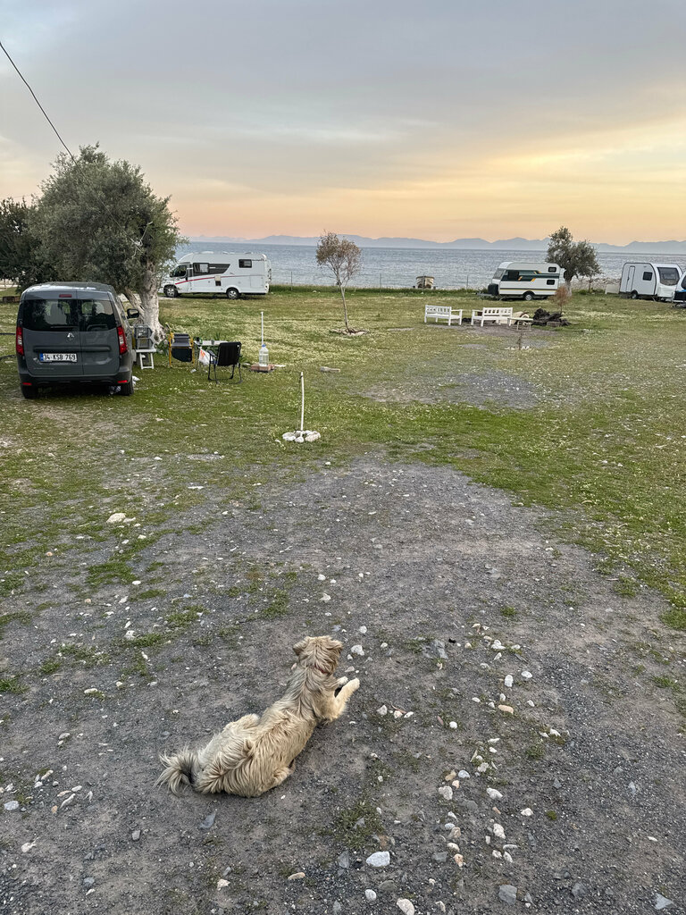Kamp alanları Salyangoz Camping, Milas, foto