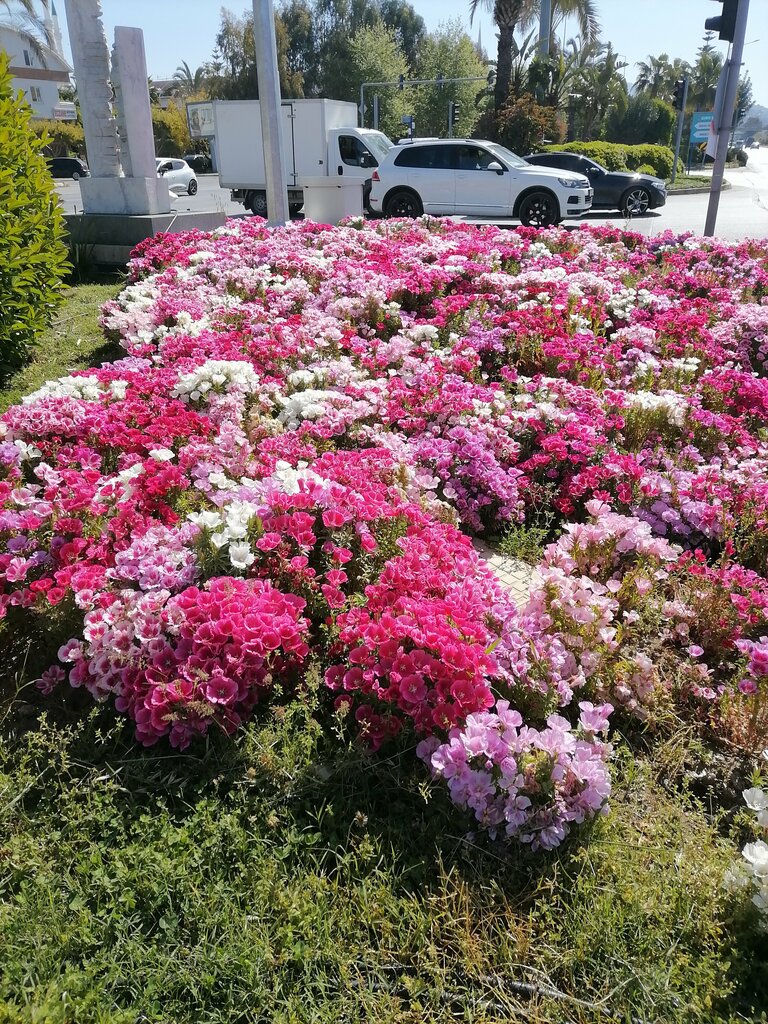 Market Yılmaz Market Bazaar, Alanya, foto