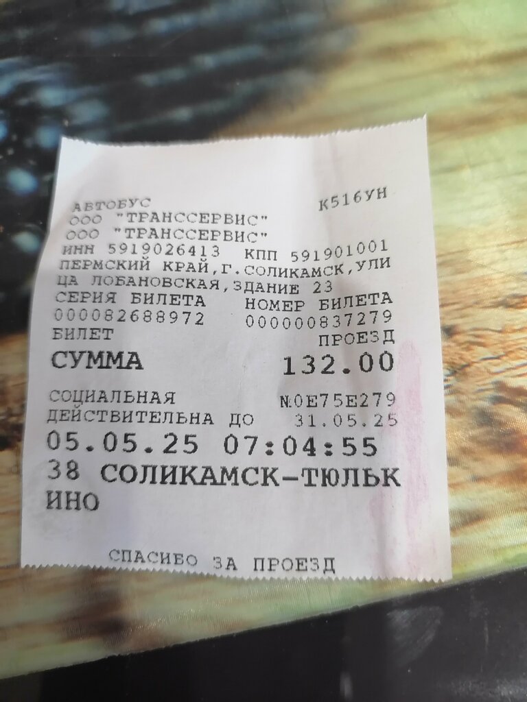 Otopark ve tamirhaneler Транссервис, Solikamsk, foto