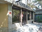 Heaven (Karasay batyr Street No:91), giyim mağazası  Almatı'dan