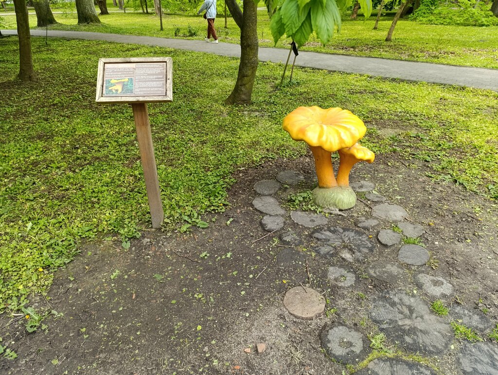 Park, sokak heykeli Лисички, Zelenogradsk, foto