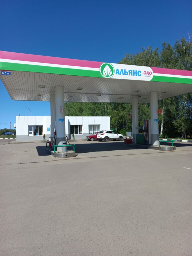 Benzin istasyonu Alyans Eko, Tambovskaya oblastı, foto