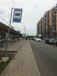 Областная улица (Leningrad Region, Vsevolozhckiy DIstrict, Zanevskoye gorodskoye poseleniye, Kudrovo, Tsentralnaya Street), toplu taşıma durağı