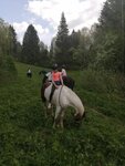 Бриз (Perm Territory, Berezniki), at ve binicilik kulüpleri  Berezniki'den