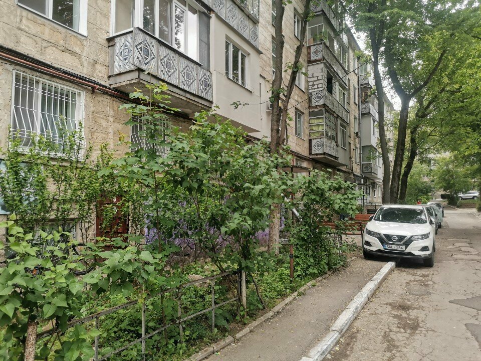 Spor kulüpleri Dojo Kondzeo, Kişinev, foto