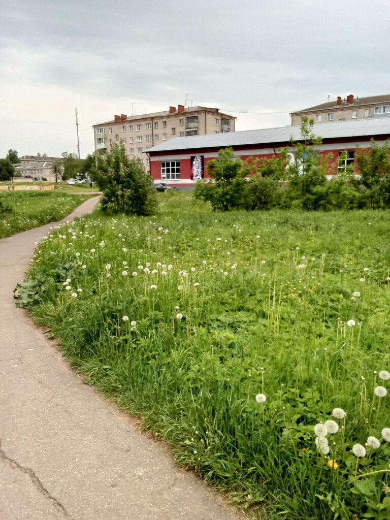 Kültür ve eğlence parkları Кустовский парк, Rybinsk, foto