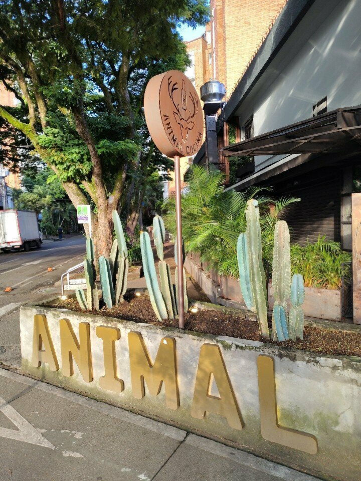 Restoran Animal Cocina - Laureles, Medellin, foto