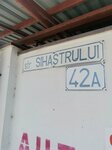 Дом Леса (strada Sihastrului No:42, Codru), fidan yetiştiriciliği  Dünya'dan