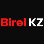Birel Kz (No:26, Mamyr-1 shaǵyn aýdany), nakliye firmaları  Almatı'dan