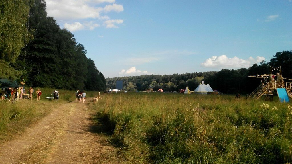 Piknik alanı Место для пикника, Kalujskaya oblastı, foto
