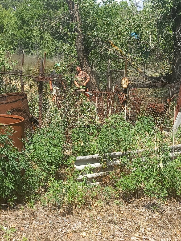 Belediyeler, devlet daireleri Правление СНТ Аврора, Volgograd, foto