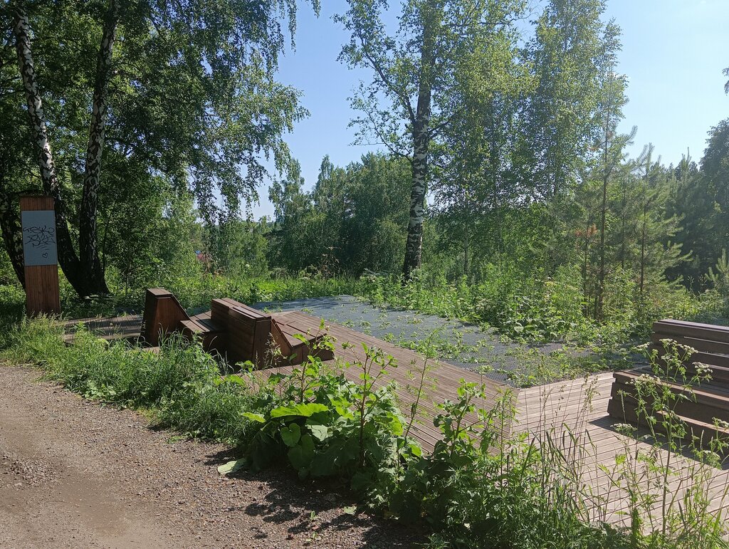Seyir terası Смотровая площадка, Tomsk, foto