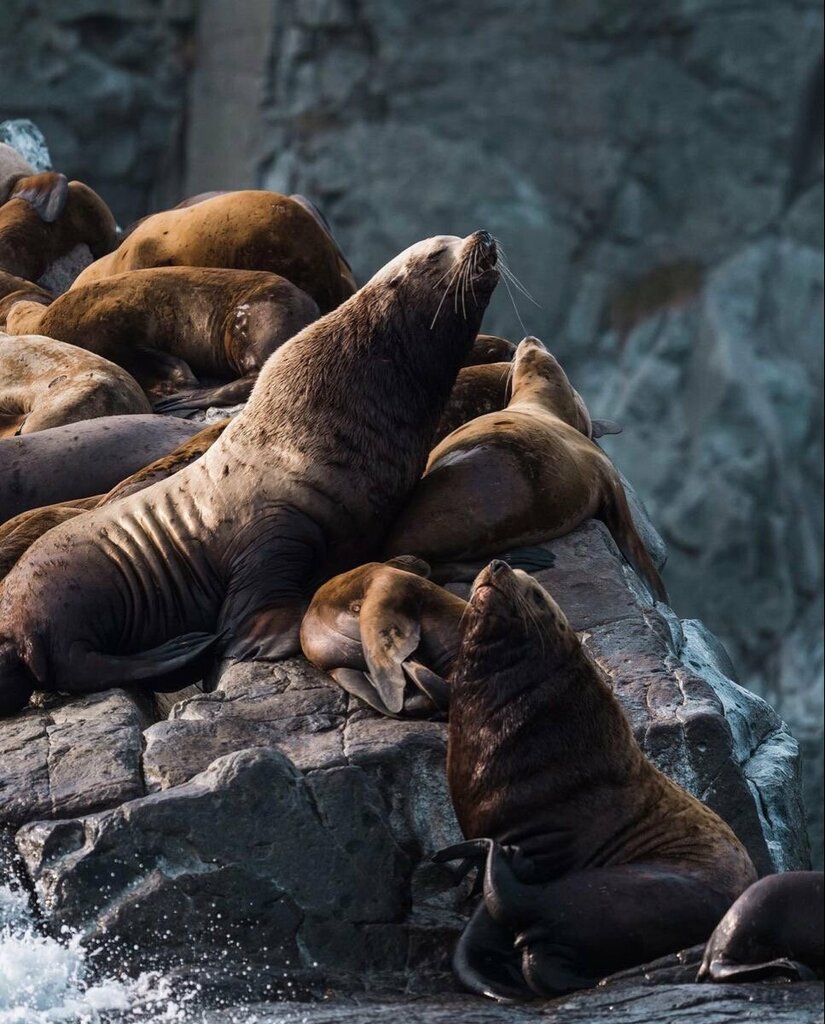 Seyahat acenteleri Касатка-1, Petropavlovsk, foto